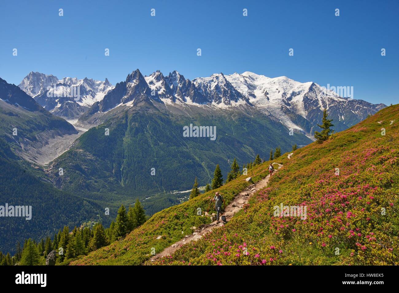 France, Haute-Savoie (74), trekking in the Aiguilles Rouge sanctuary ...