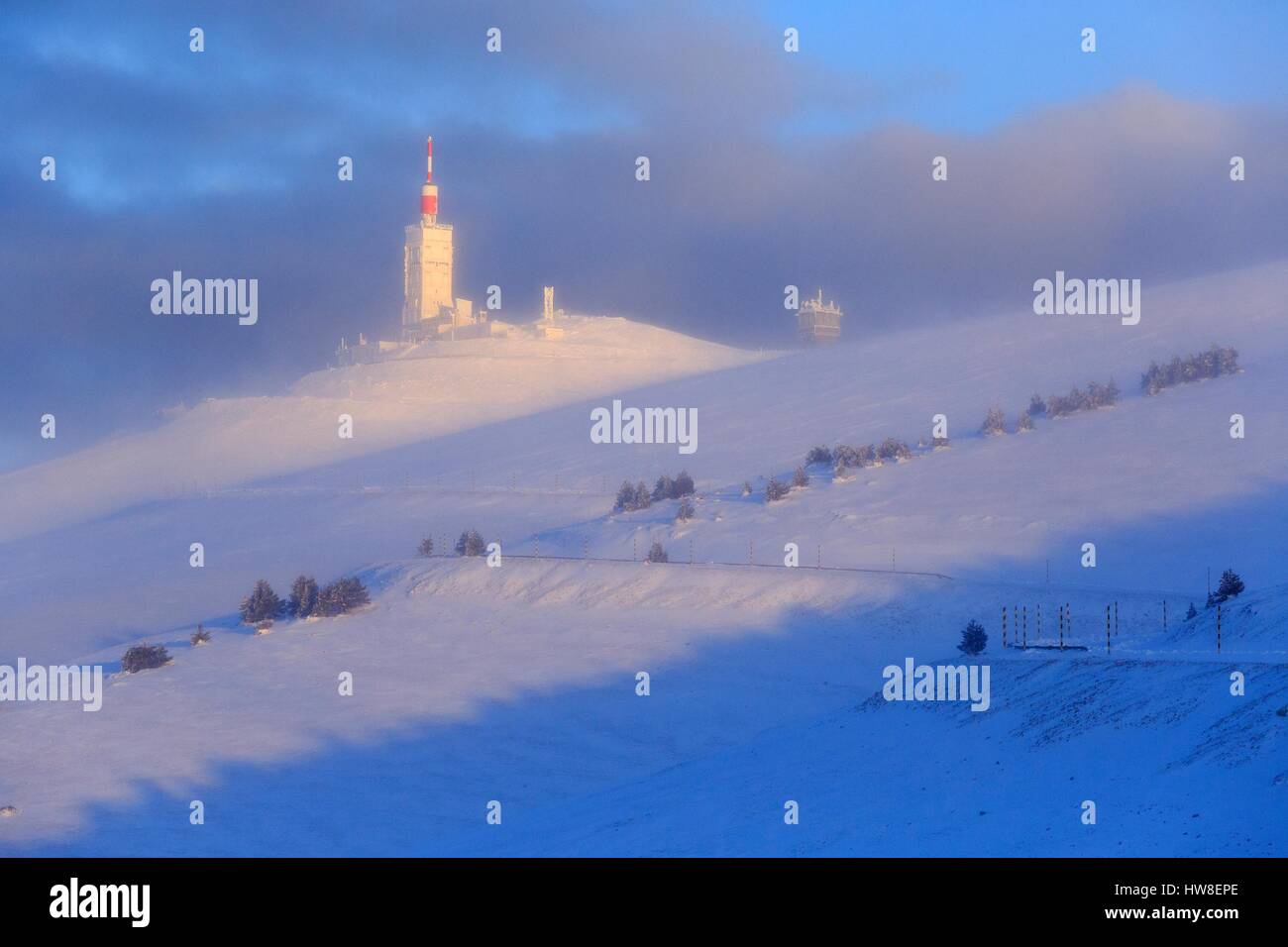 France, Vaucluse, Mont Ventoux (1912 m), Col des Tempetes, south side ...