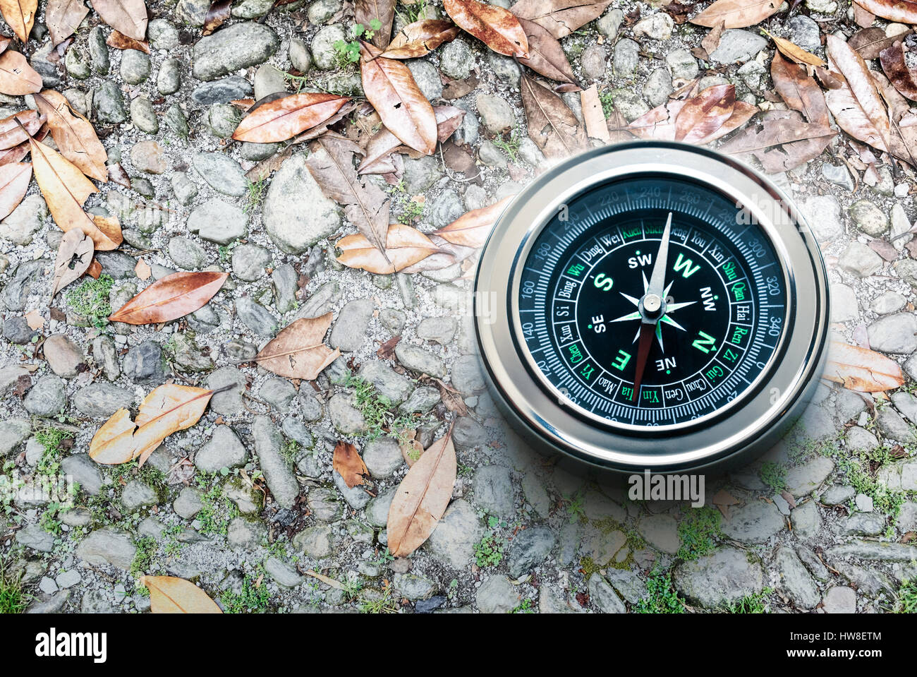 New compass in closeup as single object Stock Photo - Alamy