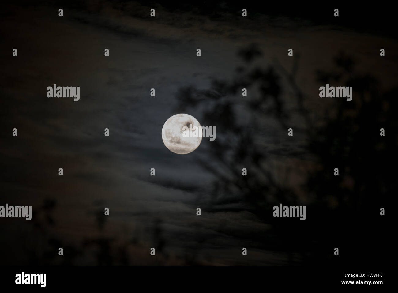 Full moon behind transparent clouds Stock Photo - Alamy