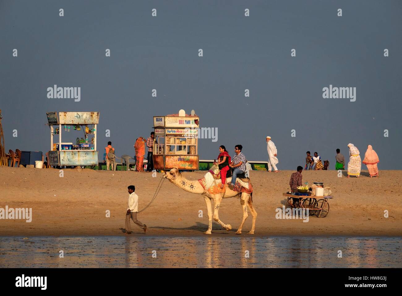 Camel india gujarat hi-res stock photography and images - Alamy