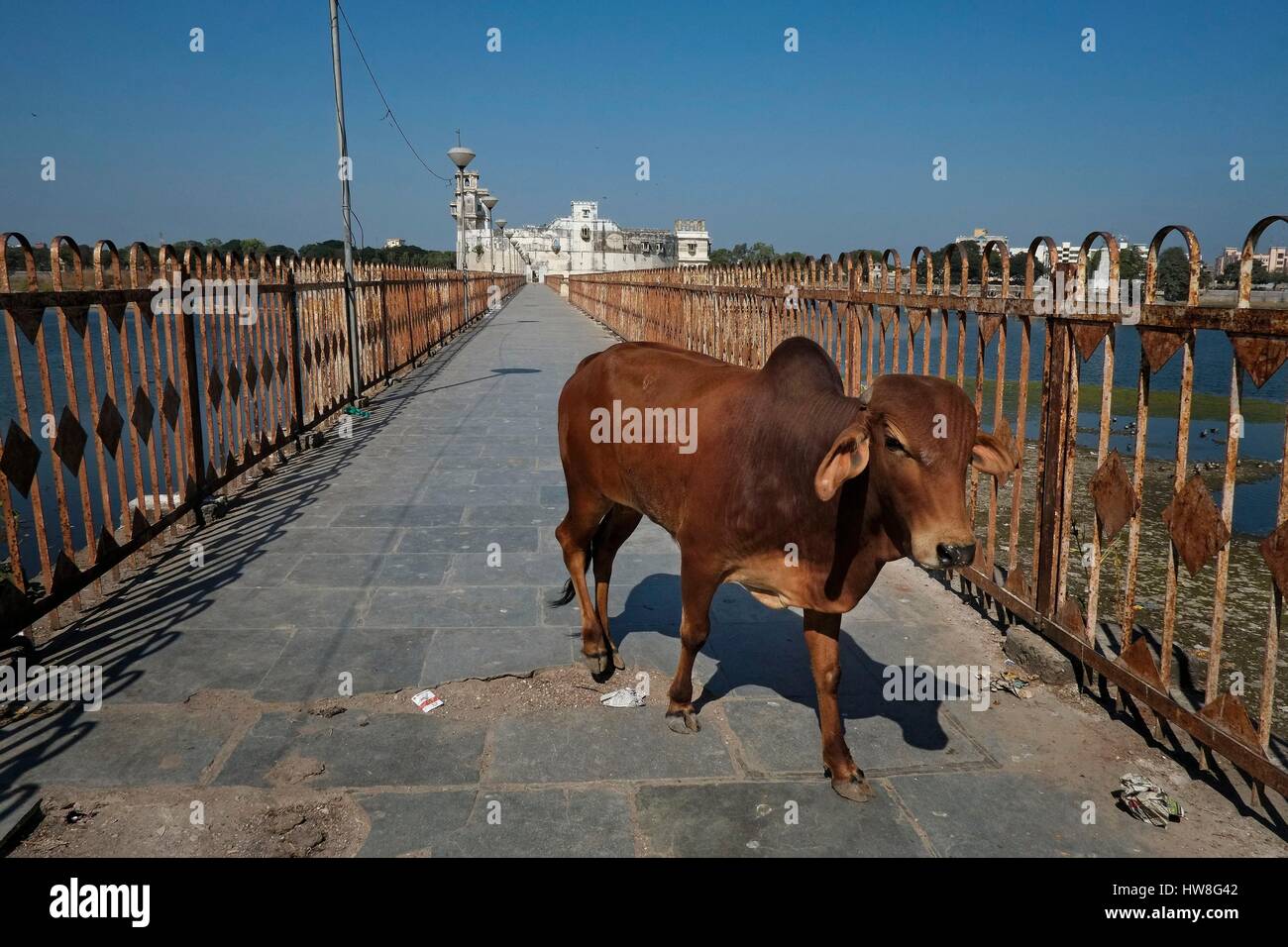India gujarat bridge hi-res stock photography and images - Alamy