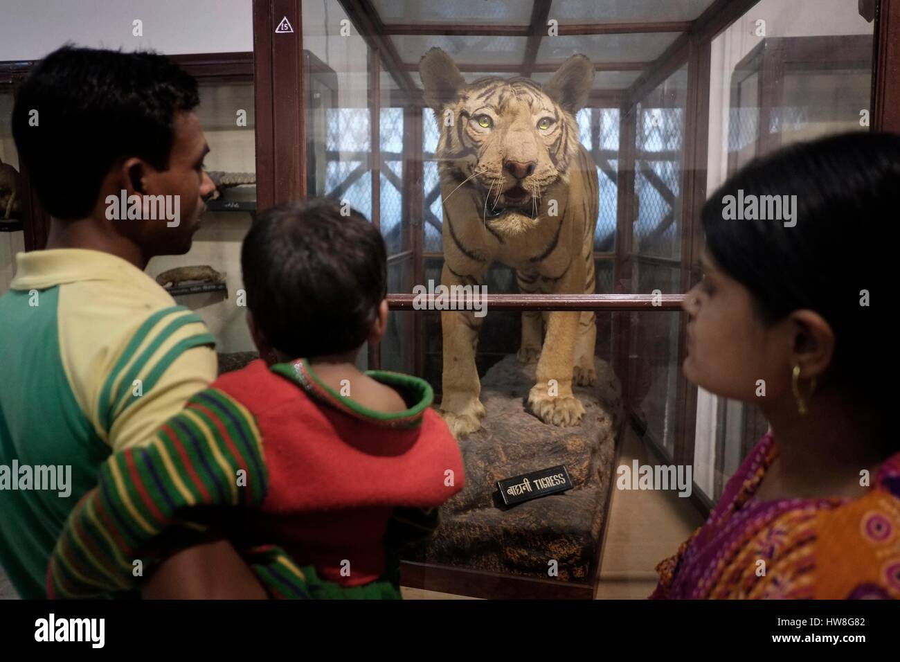 Rajput styles hi-res stock photography and images - Alamy