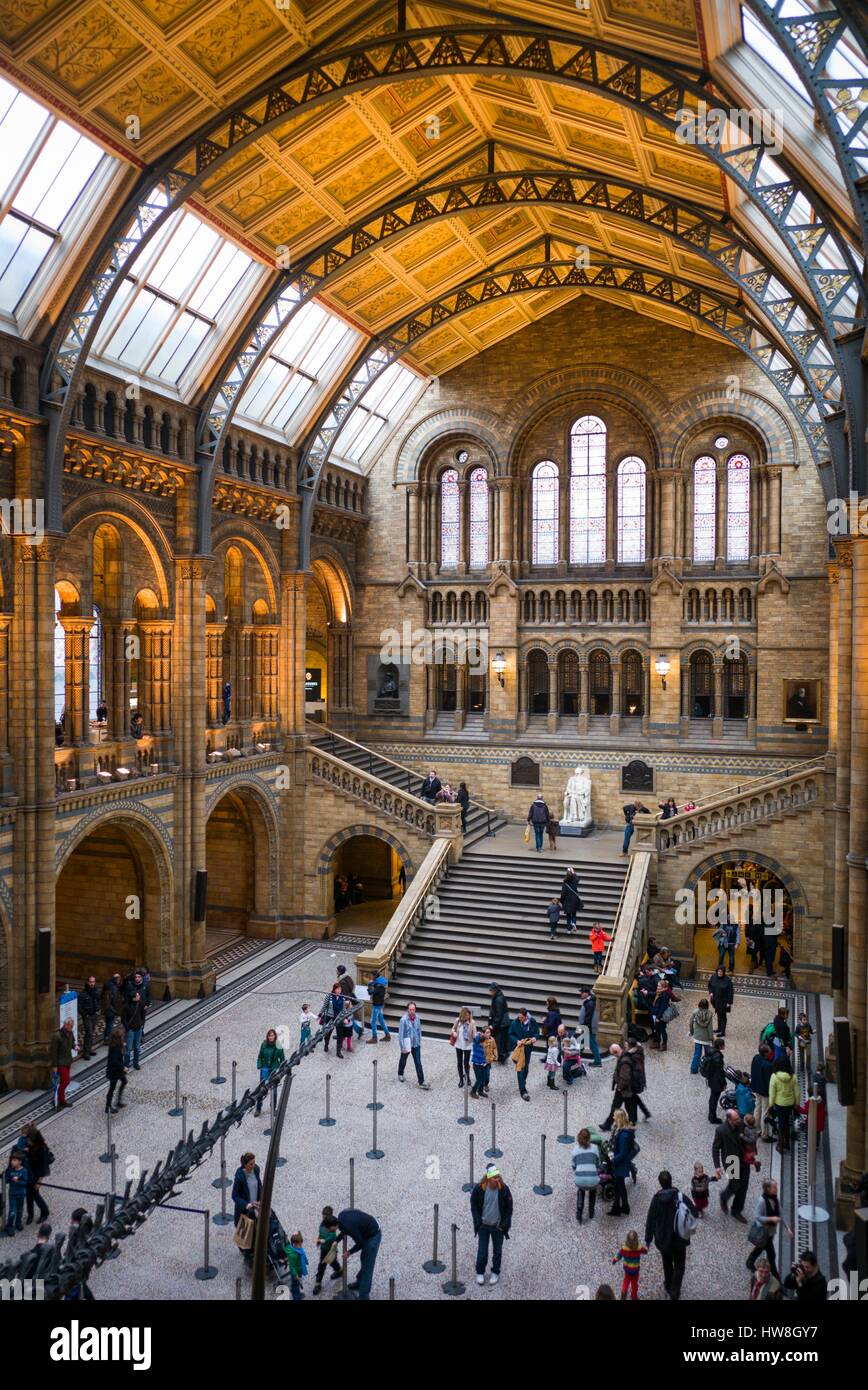 Natural history museum interior hi-res stock photography and images - Alamy
