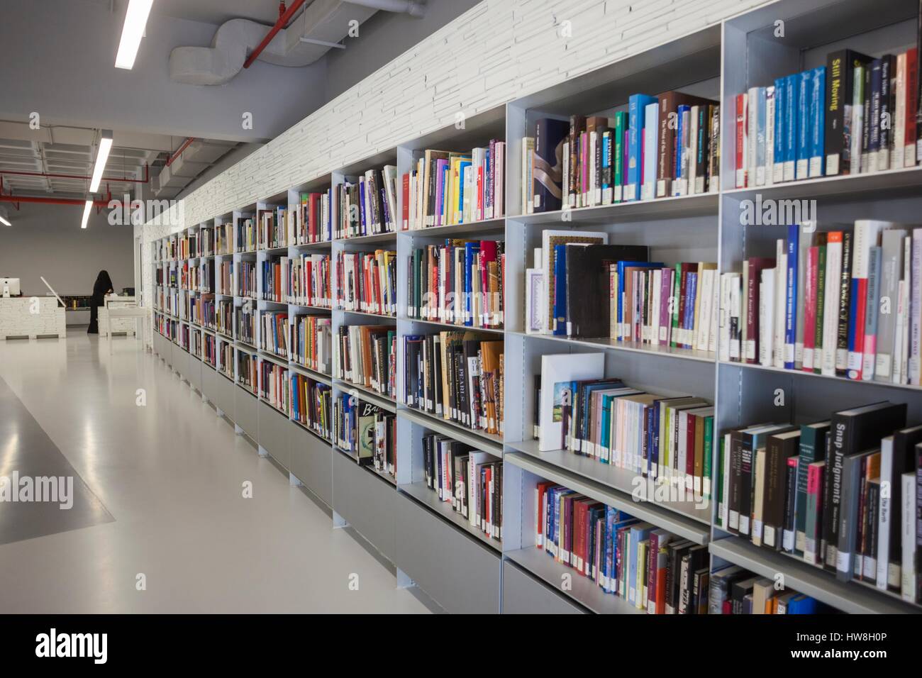 Qatar, Doha, MATHAF, Arab Museum of Modern Art, detail of library area ...