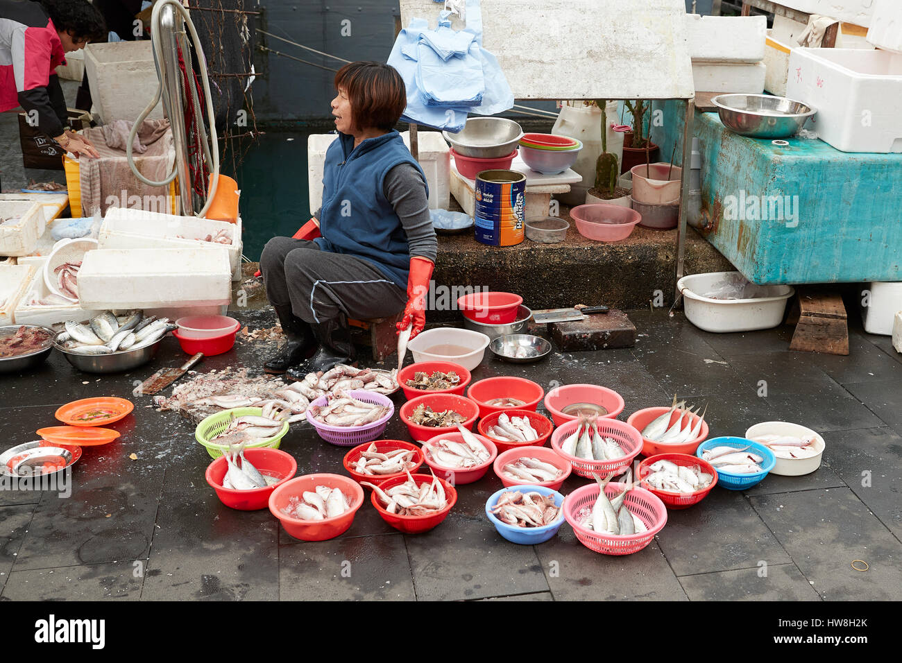Woman cleaning fish hi-res stock photography and images - Alamy