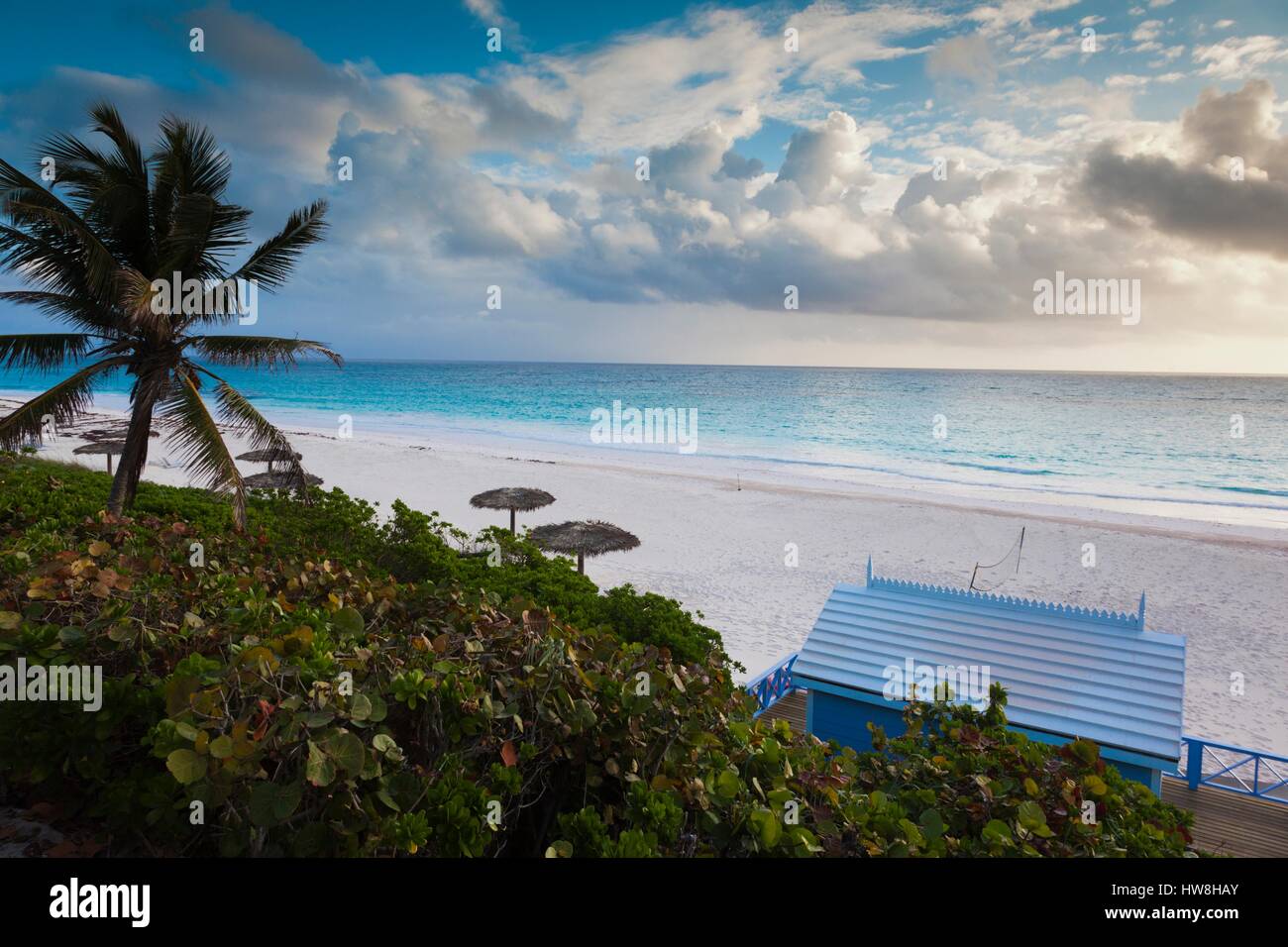 Bahamas, Eleuthera Island, Harbour Island, Pink Sands Beach, morning ...