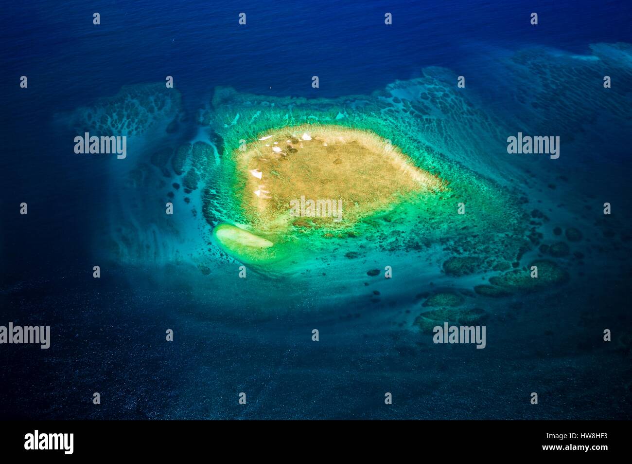 France, Mayotte island (French overseas department), the coral reef ...