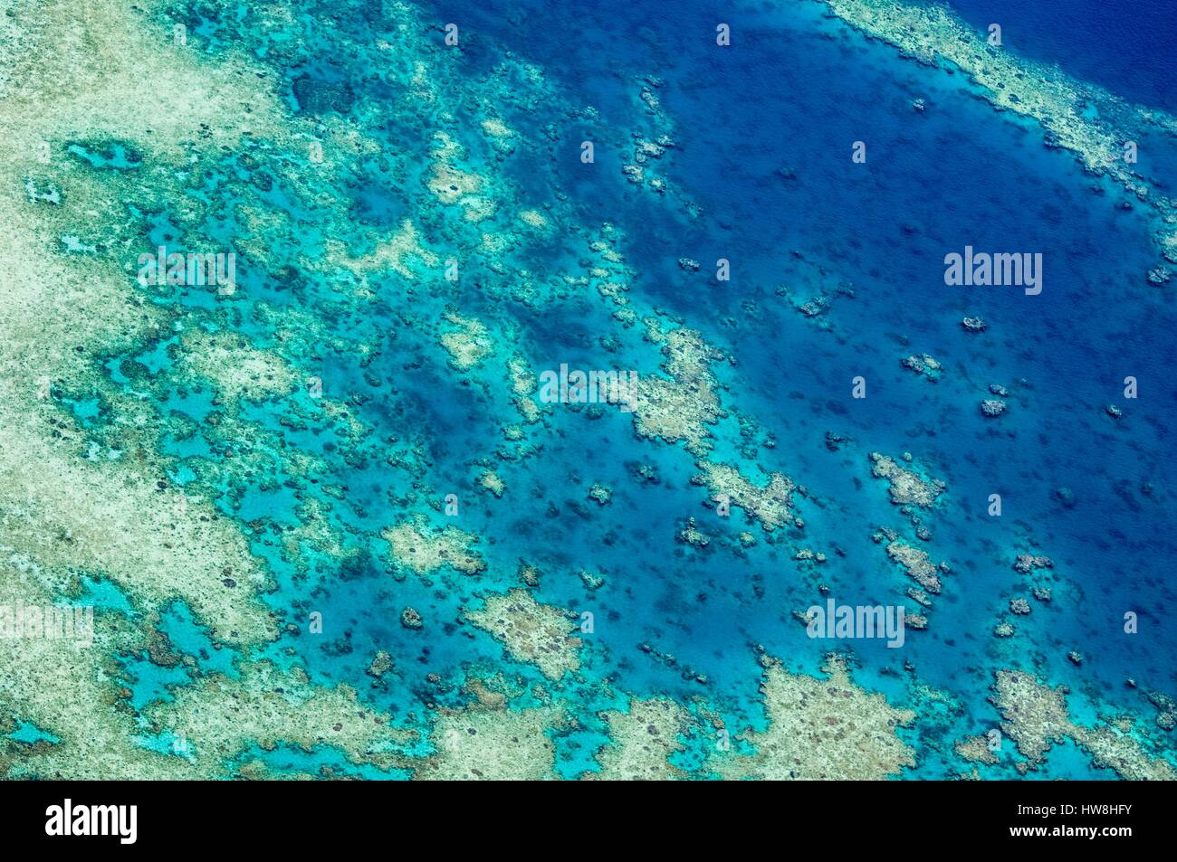 France, Mayotte island (French overseas department), the coral reef ...