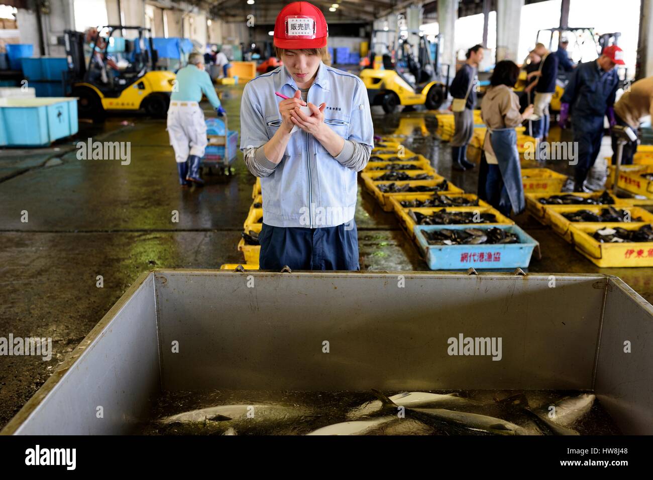 Japan, Honshu island, Ito, Fishmarket in Ito, Most fish sold here ends ...