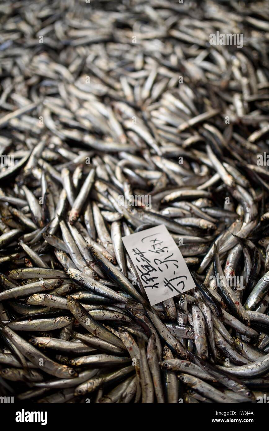Japan, Honshu island, Ito, Fishmarket in Ito, Most fish sold here ends ...