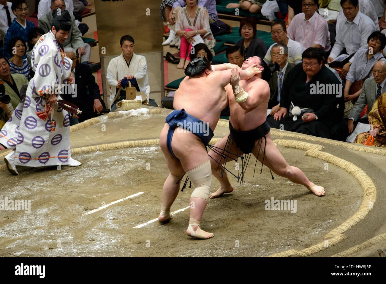 Japan, Honsu island, Tokyo, Annual Sumo meeting in Tokyo's district ...