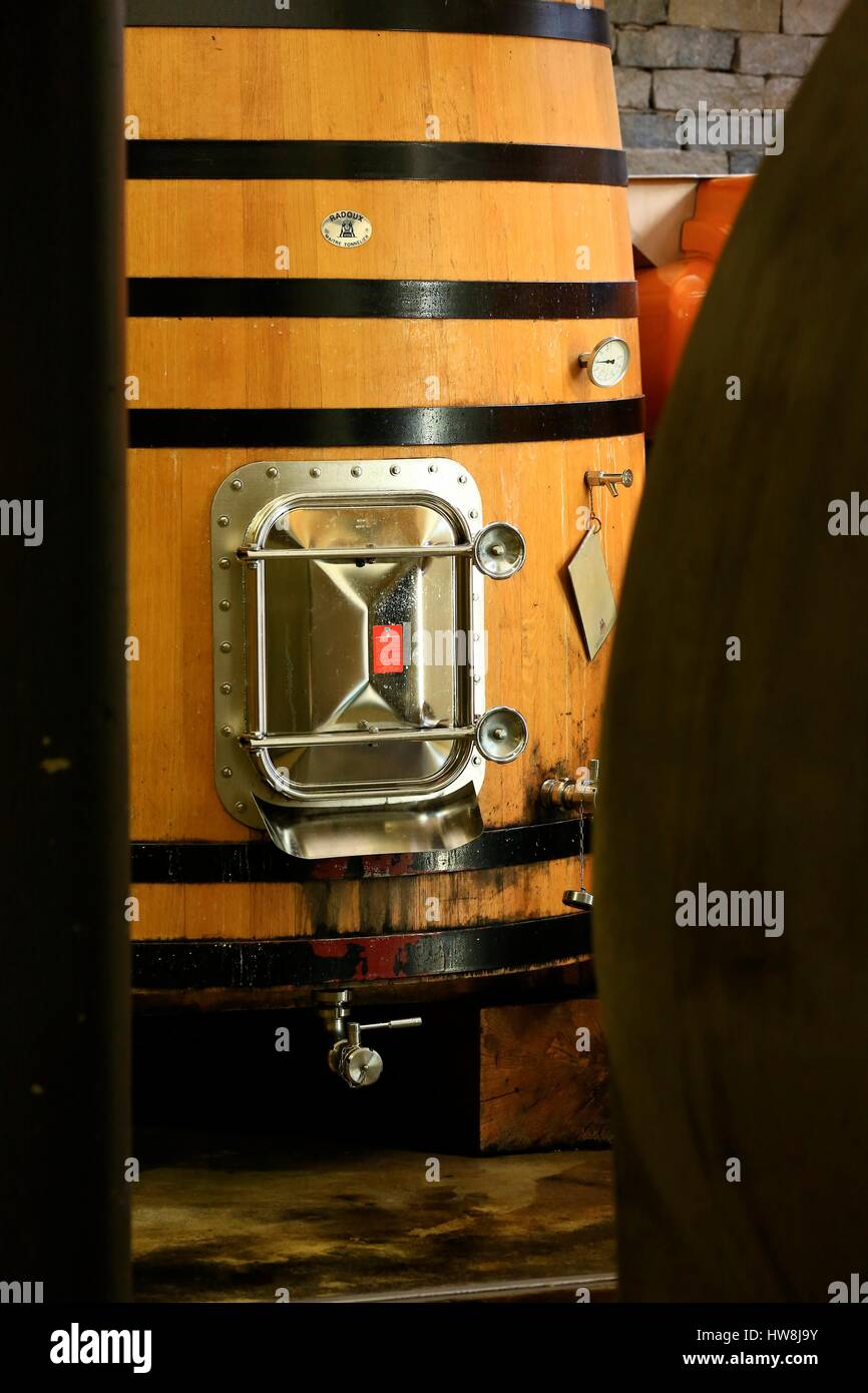 France, Haute Corse, Morosaglia, Ponte Leccia, Clos Venturi, Domaine ...