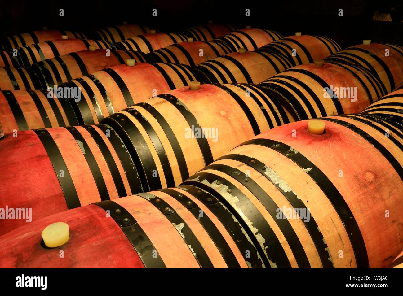 France, Haute Corse, Morosaglia, Ponte Leccia, Clos Venturi, Domaine ...