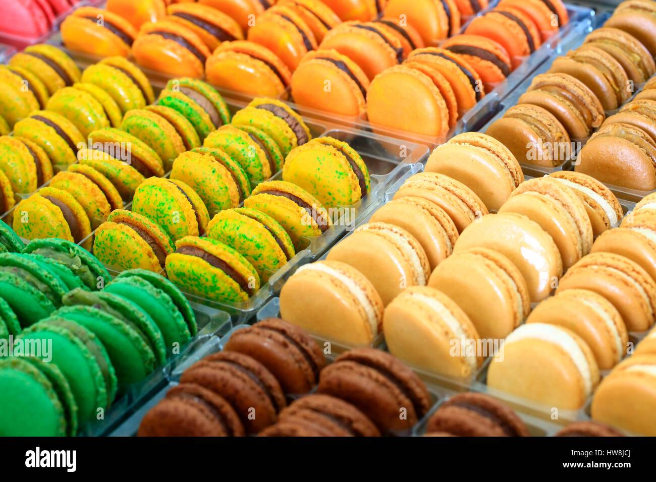 France, Haute Corse, Morosaglia, Ponte Leccia, Anne Marchetti biscuits ...