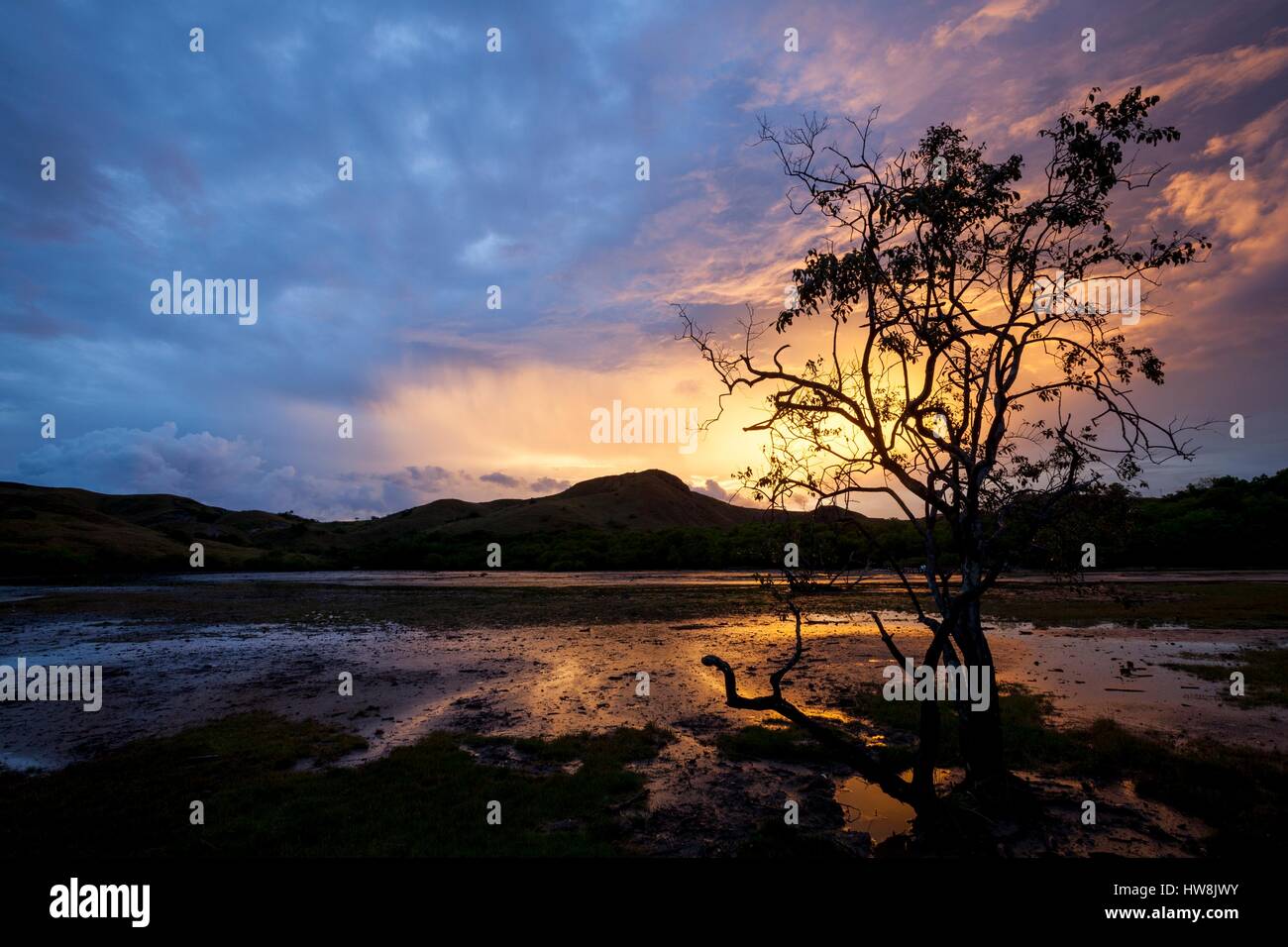 Indonesia, East Nusa Tenggara, Rinca Island, Komodo National Park ...