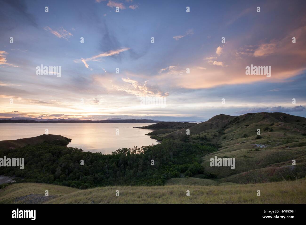 Indonesia, East Nusa Tenggara, Rinca Island, Komodo National Park ...