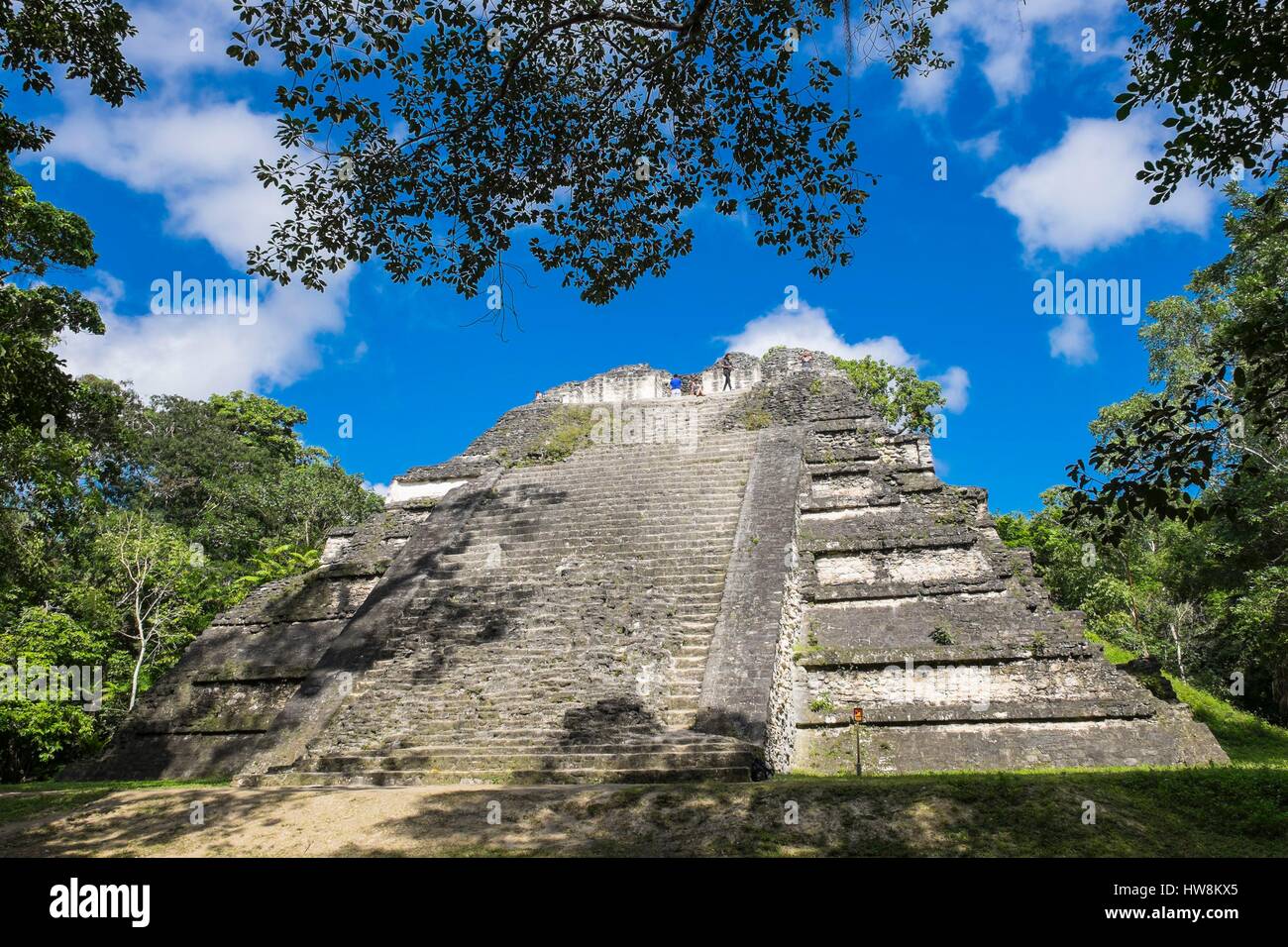 Guatemala, Peten department, Tikal National Park, a UNESCO World ...