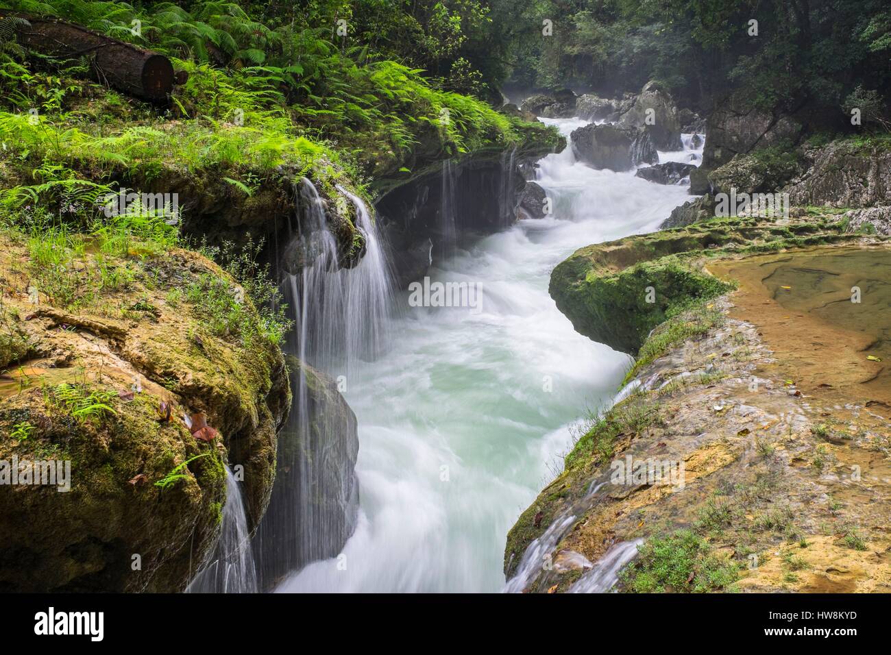 Guatemala, Alta Verapaz department, Lanquin, the natural site of Semuc ...