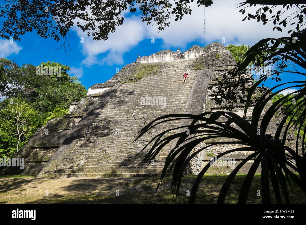 Guatemala, Peten department, Tikal National Park, a UNESCO World ...