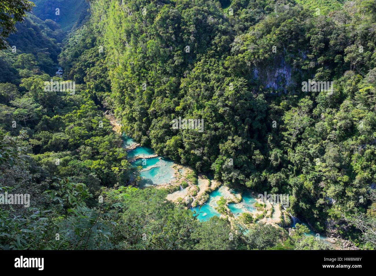 Guatemala, Alta Verapaz department, Lanquin, the natural site of Semuc ...