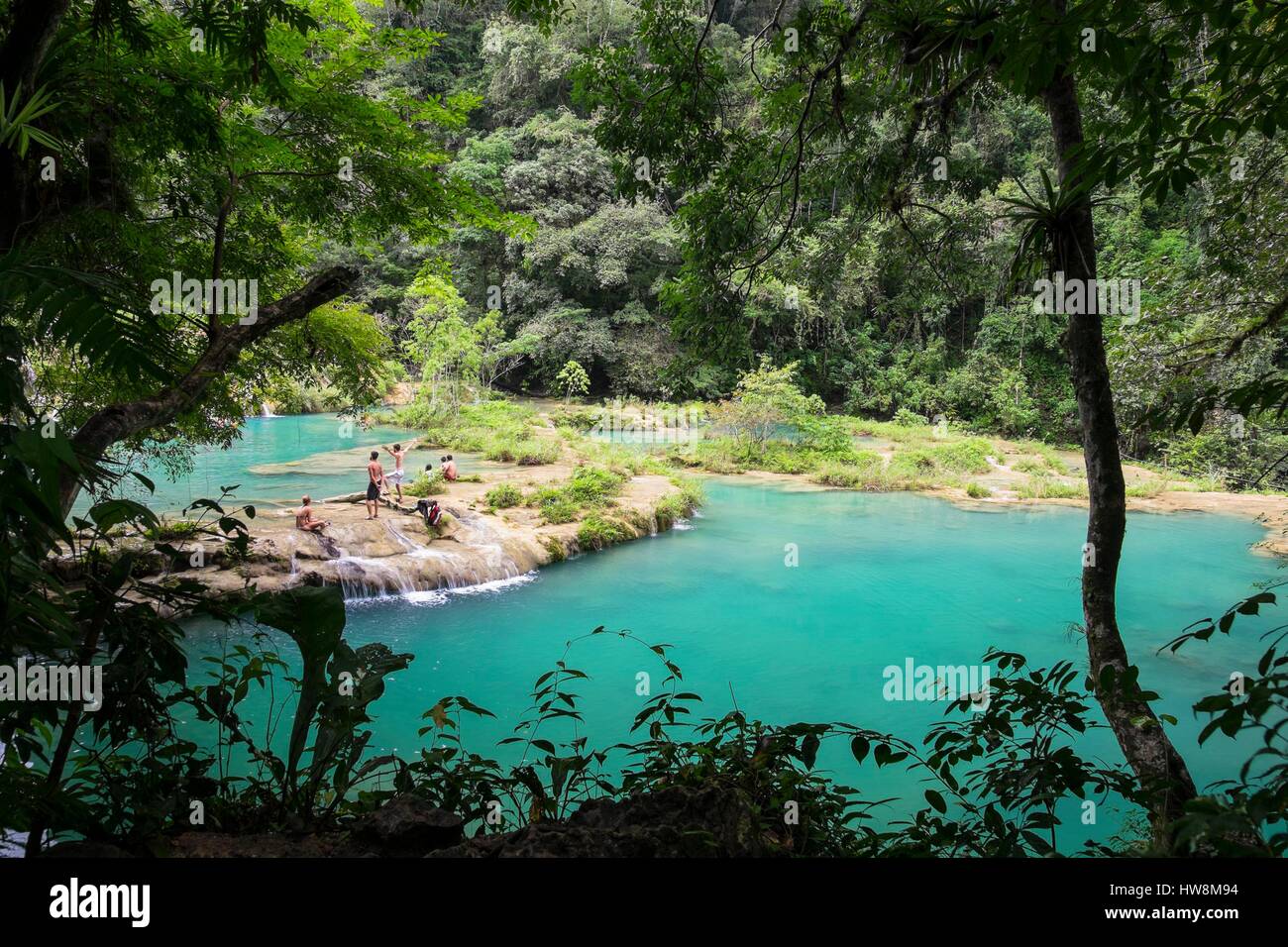 Guatemala, Alta Verapaz department, Lanquin, the natural site of Semuc ...