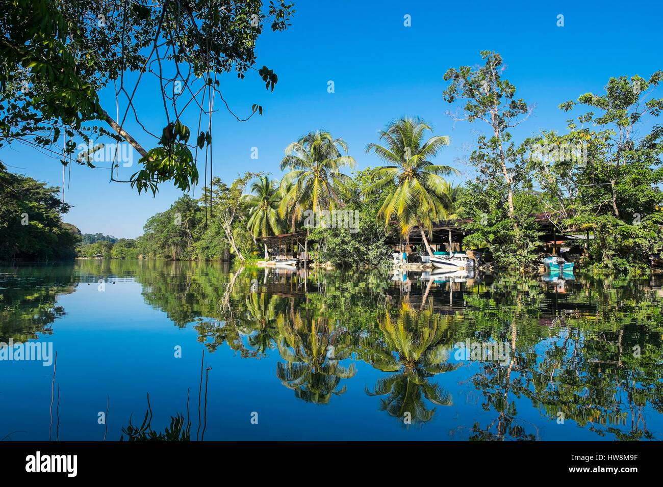 Guatemala, Izabal department, Rio Dulce river Stock Photo - Alamy