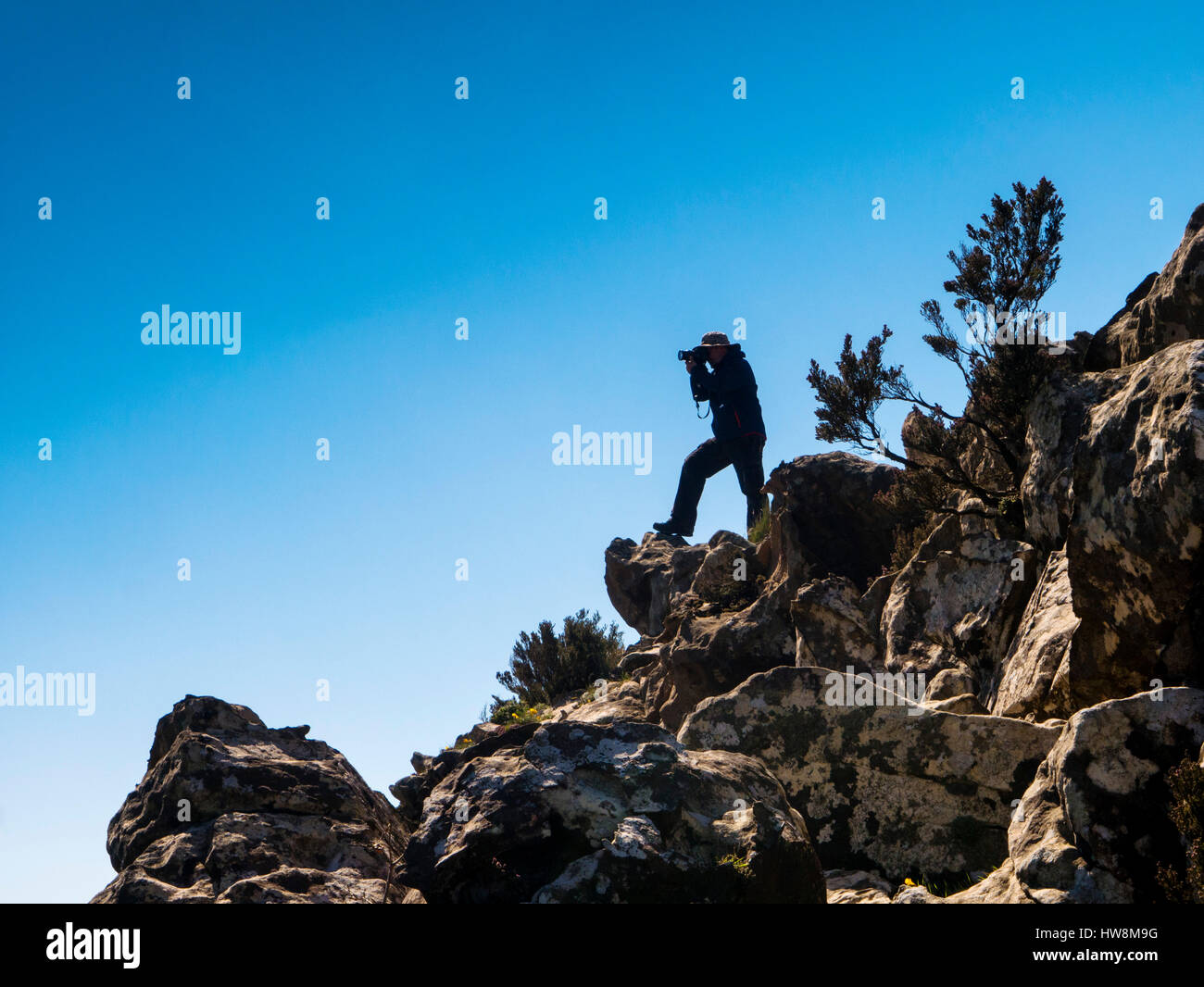 A strait pathway hi-res stock photography and images - Alamy