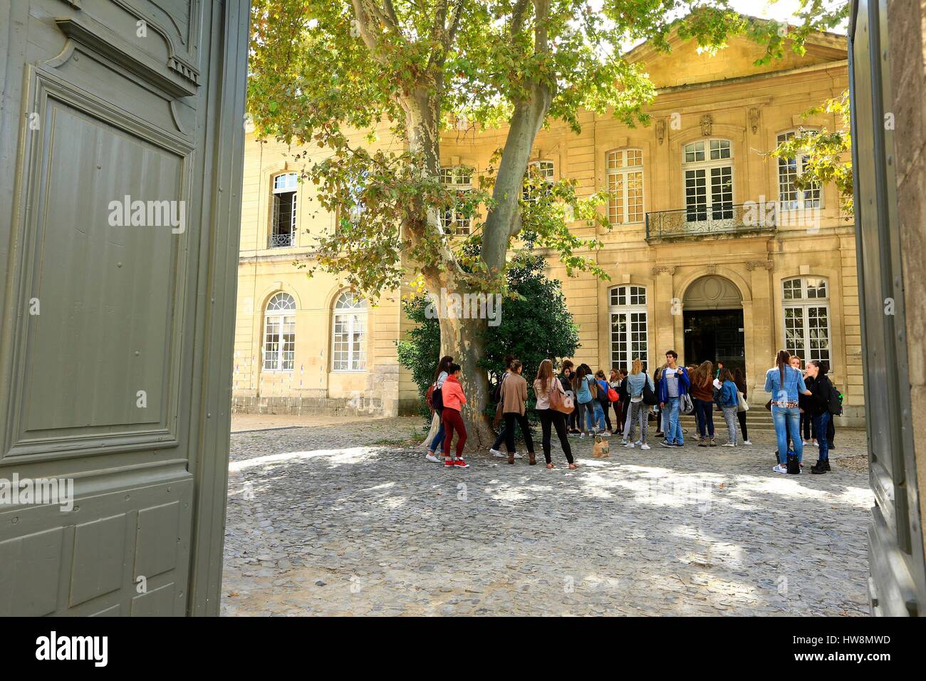 France, Vaucluse, Avignon, Lambert Collection Museum of Contemporary ...