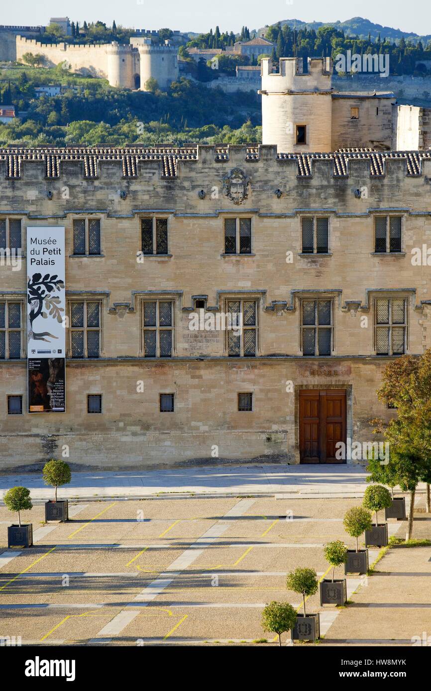 France, Vaucluse, Avignon, the Petit Palais museum, historical monument ...