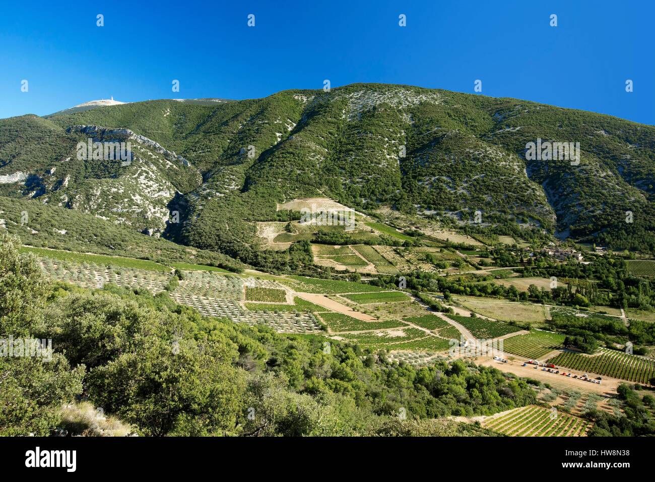 France, Vaucluse, Malaucene, Toulourenc Valley, Mont Ventoux in ...