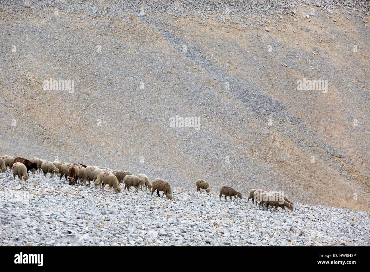 France, Vaucluse, Mont Ventoux, Col storms, south side Stock Photo - Alamy