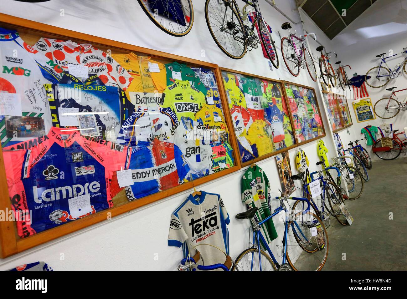 France, Vaucluse, Bedoin, exhibition on the history of cycling, Lino ...