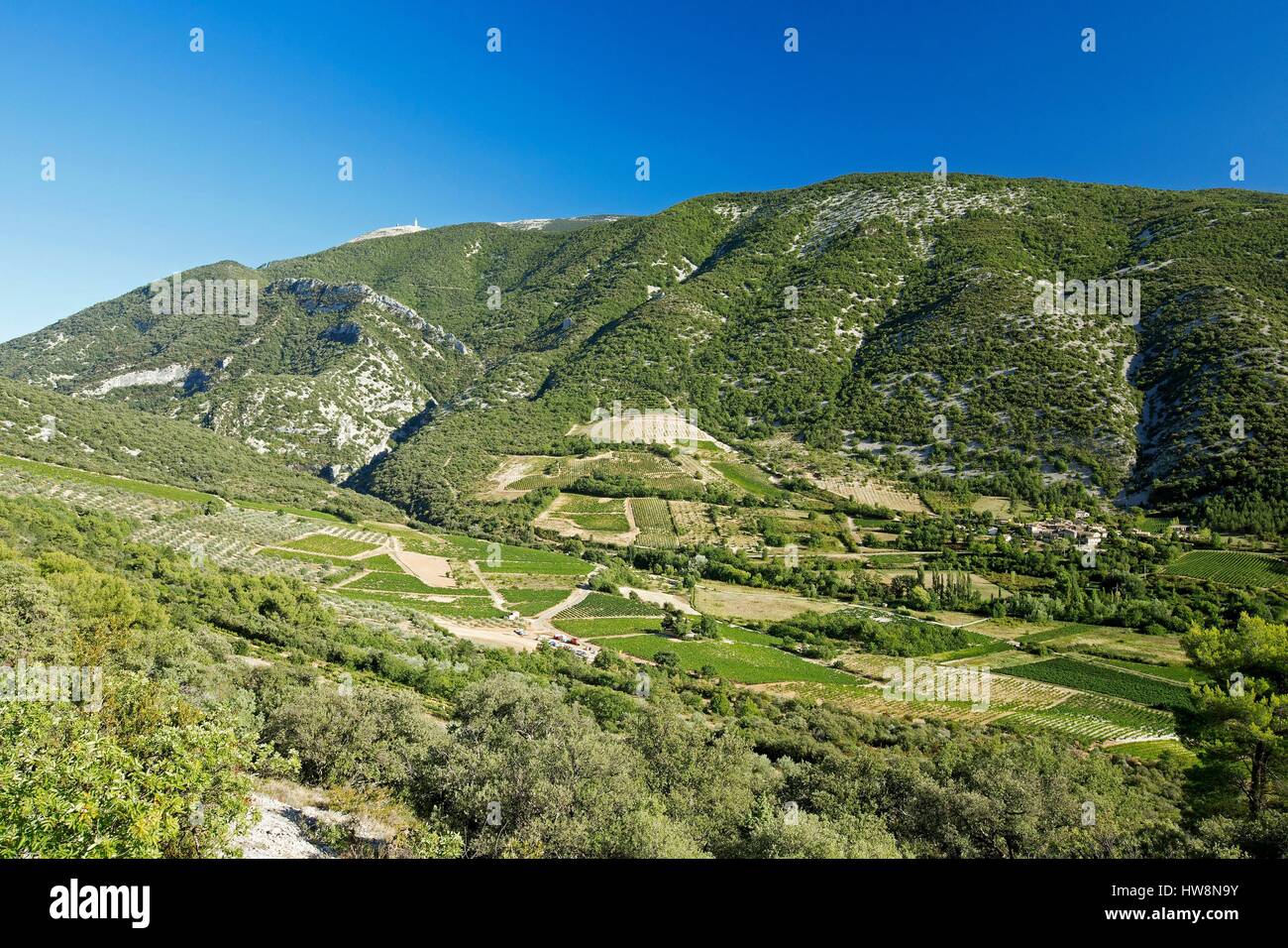 France, Vaucluse, Malaucene, Toulourenc Valley, Mont Ventoux in ...