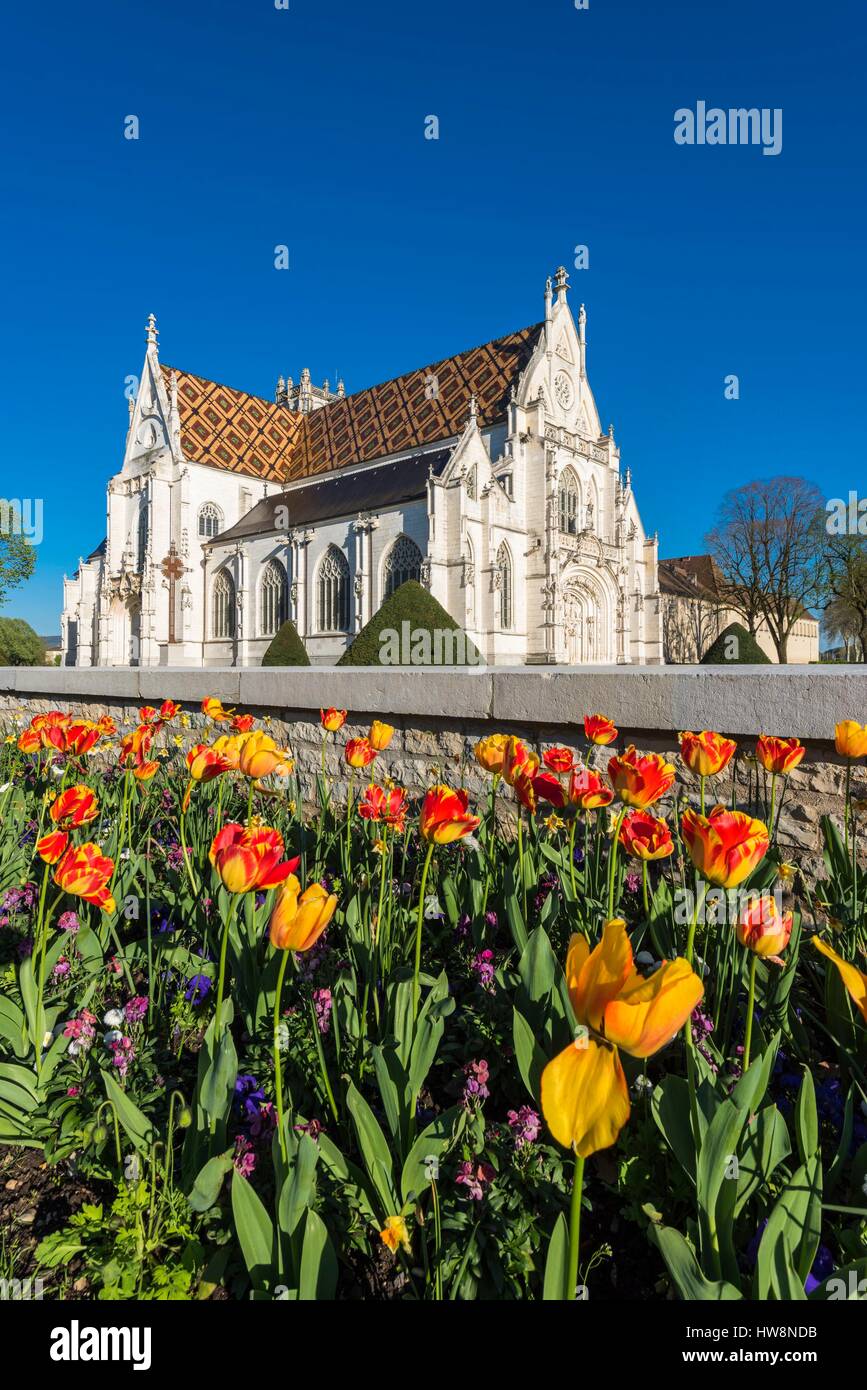 France, Ain, Bourg-en-Bresse, Saint-Nicolas-de-Tolentin de Brou church ...