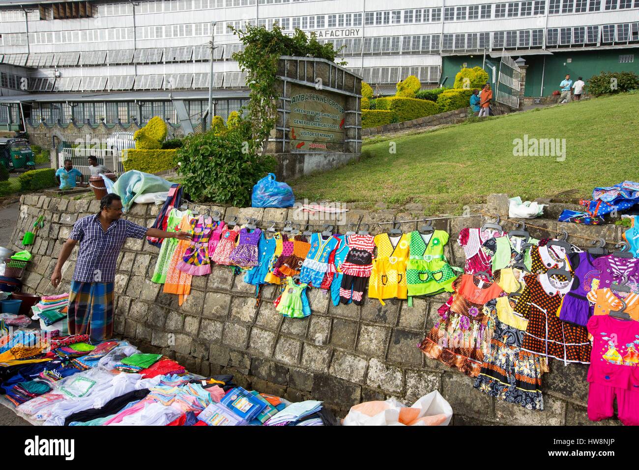 Sri Lanka, Uva Province, Badulla district, Haputale, Dambatenne tea ...