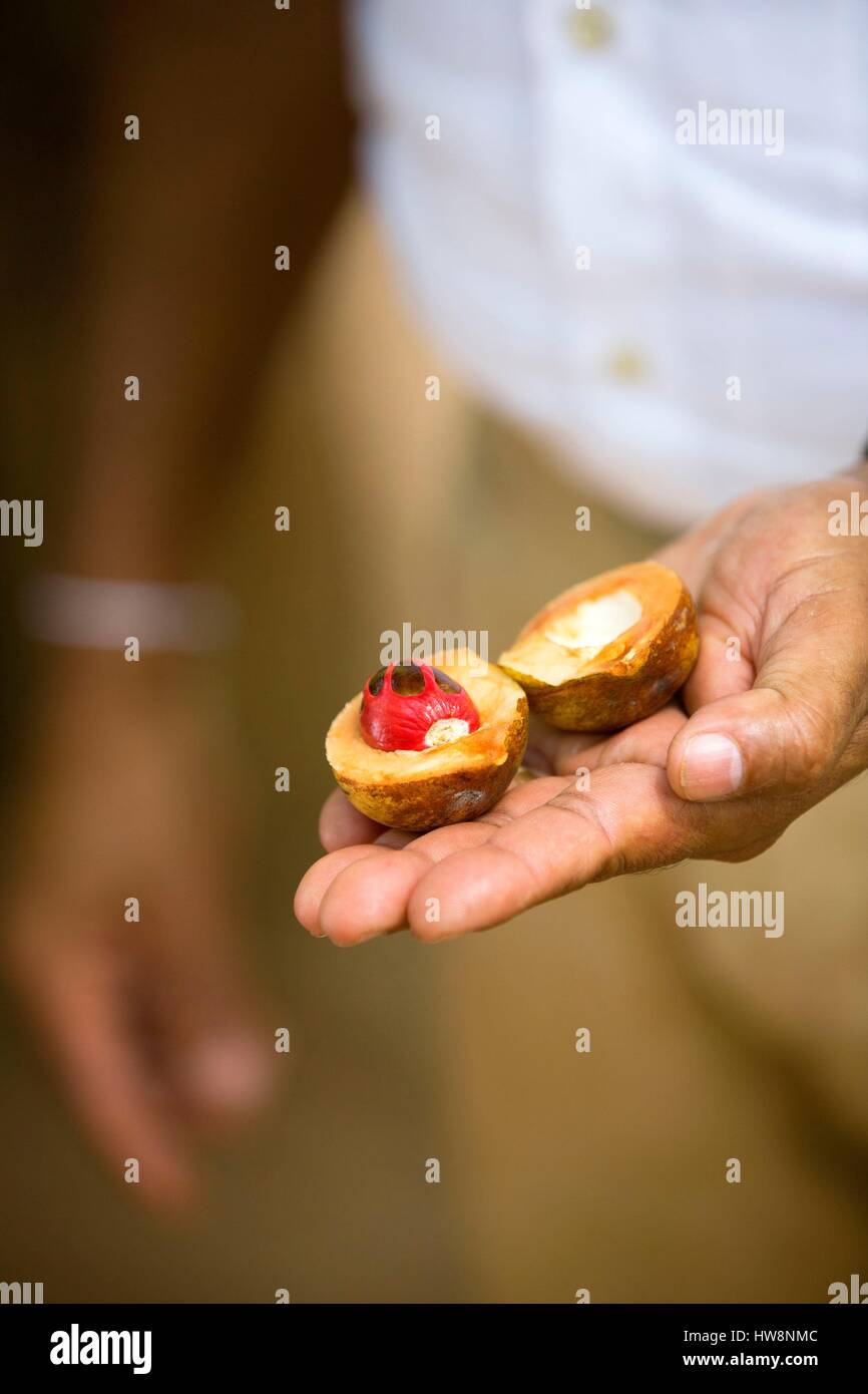 Sri lanka matale spice hi-res stock photography and images - Alamy