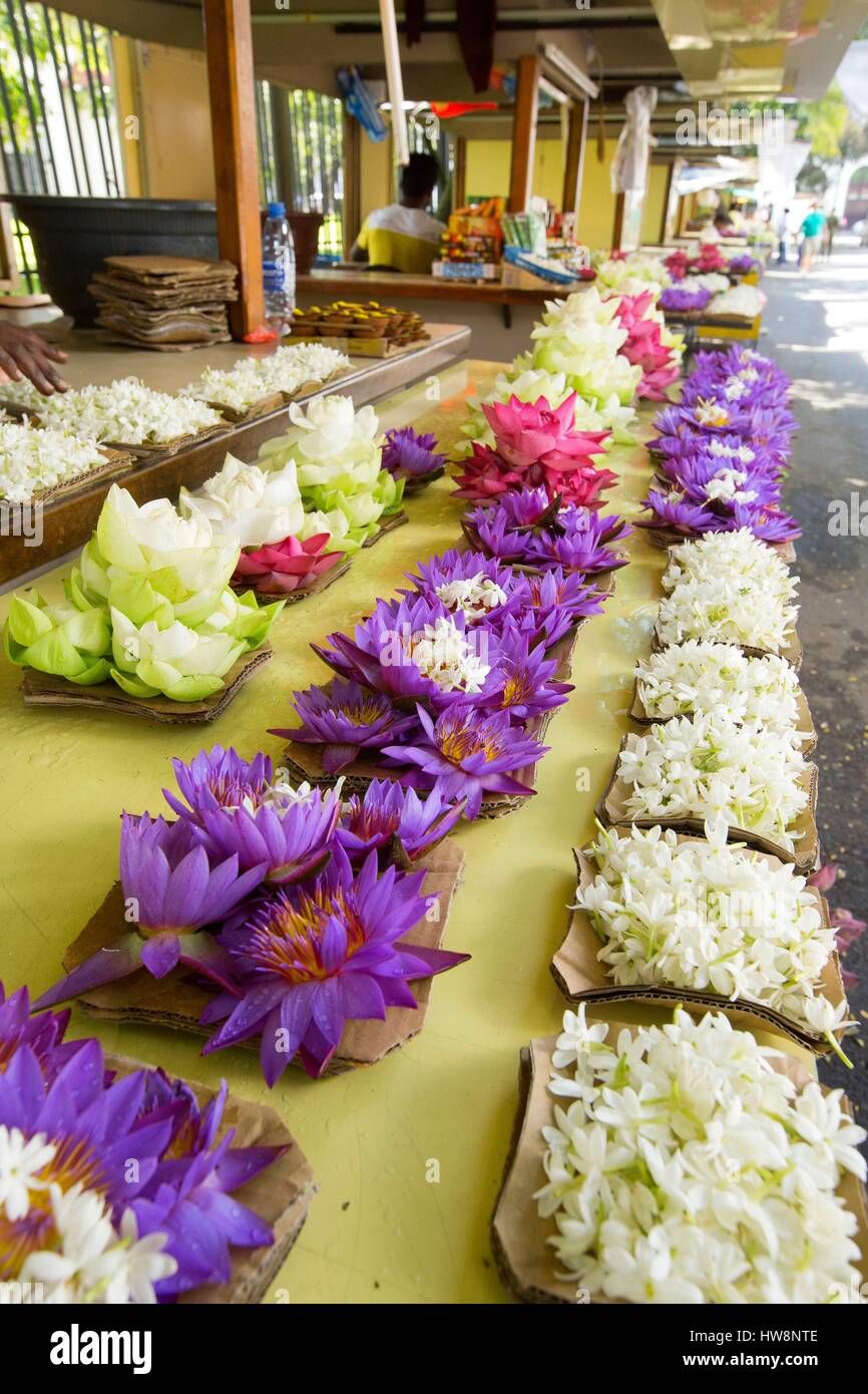 Sri Lanka, Central Province, Kandy district, Kandy, vendors offerings ...