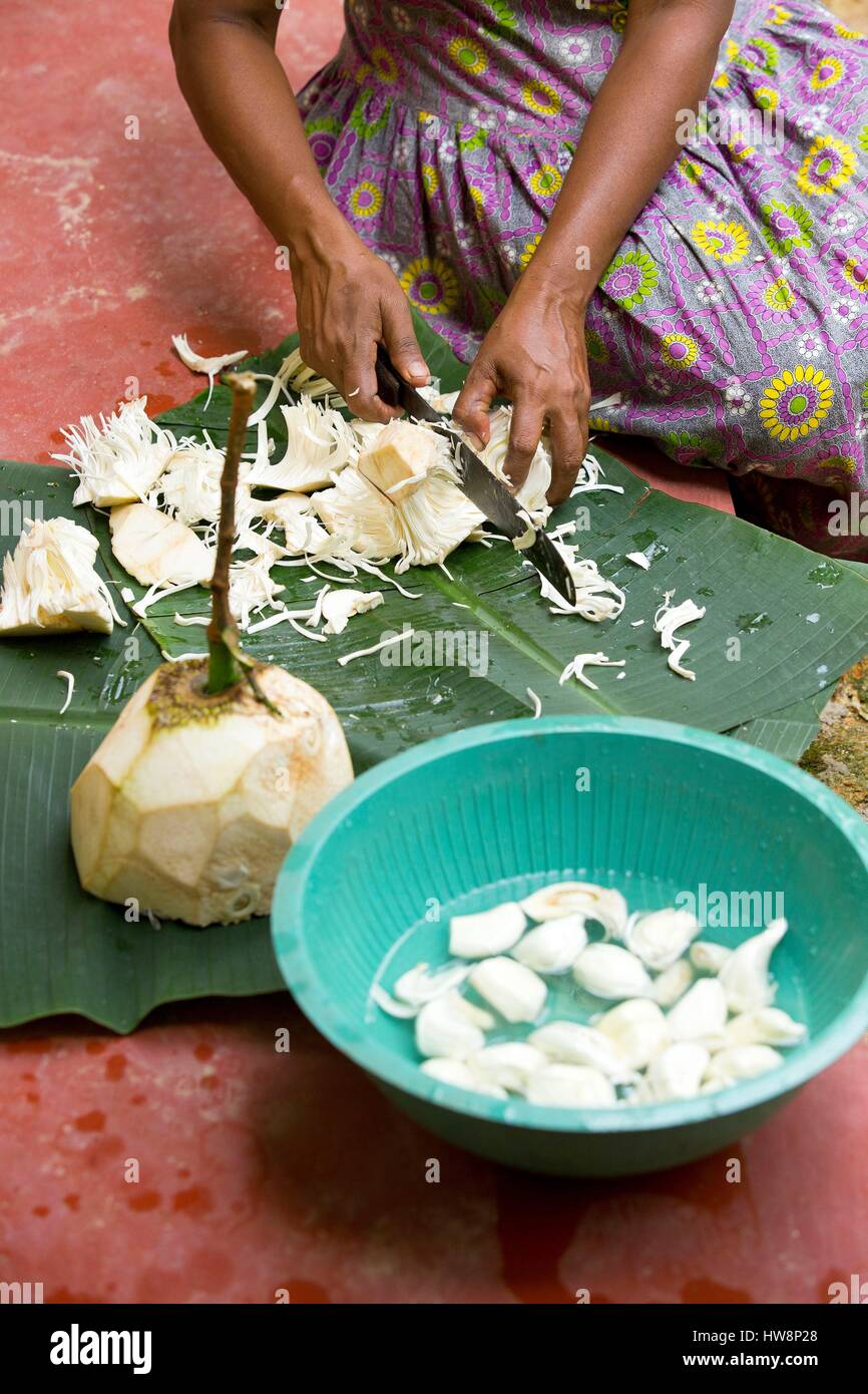 Sri Lanka, Southern Province, Matara district, Morawaka Stock Photo - Alamy