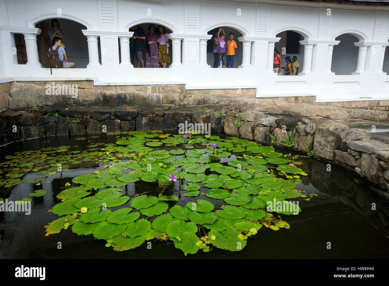 Sri Lanka, Central Province, Matale district, Dambulla Golden Temple ...