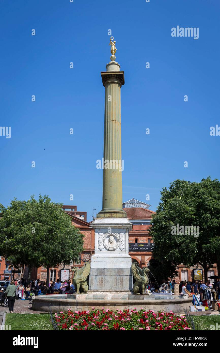 France, Haute Garonne, Toulouse, Place Dupuy Dupuy column, statue of ...