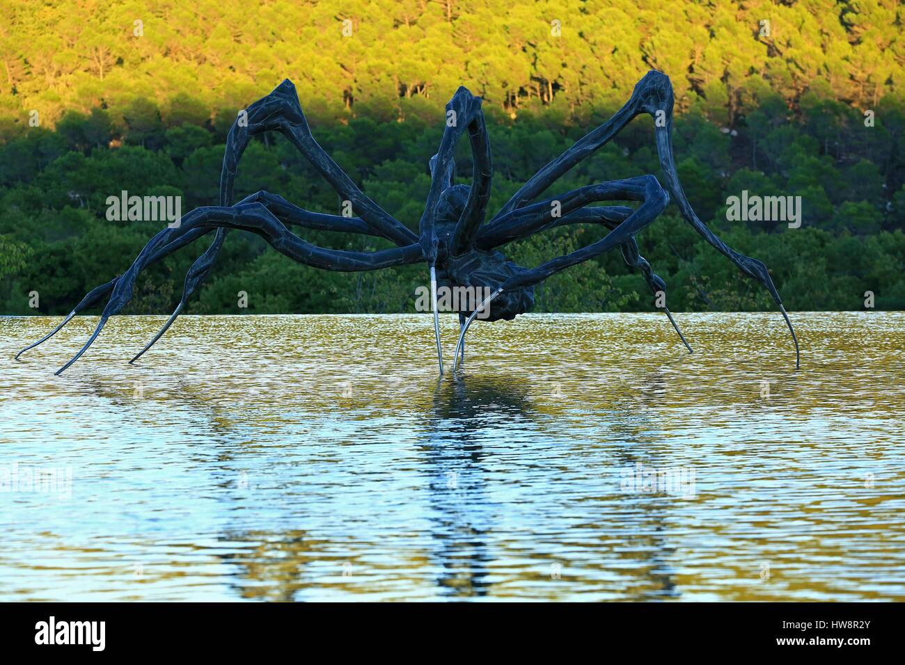 Crouching spider hi-res stock photography and images - Alamy