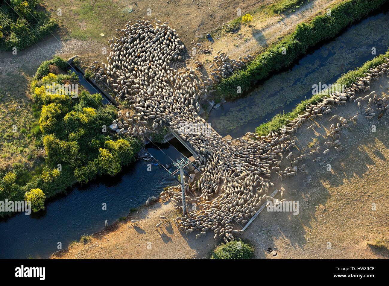 Crau hi-res stock photography and images - Alamy