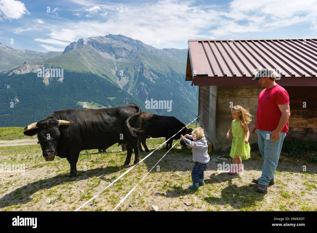 Child parent people cow hi-res stock photography and images - Alamy
