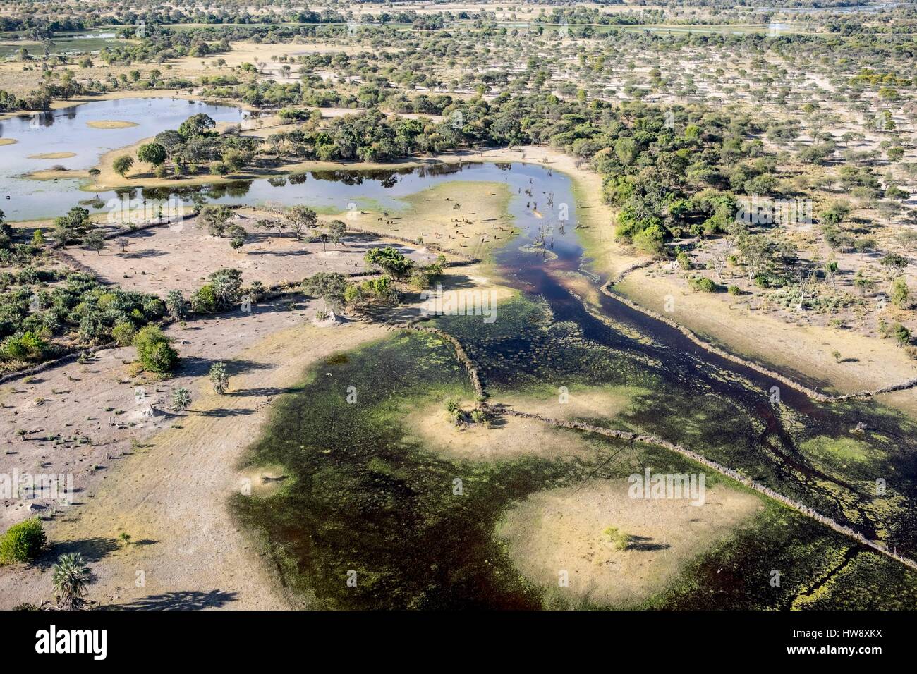 Botswana, Okavango delta (aerial view Stock Photo - Alamy