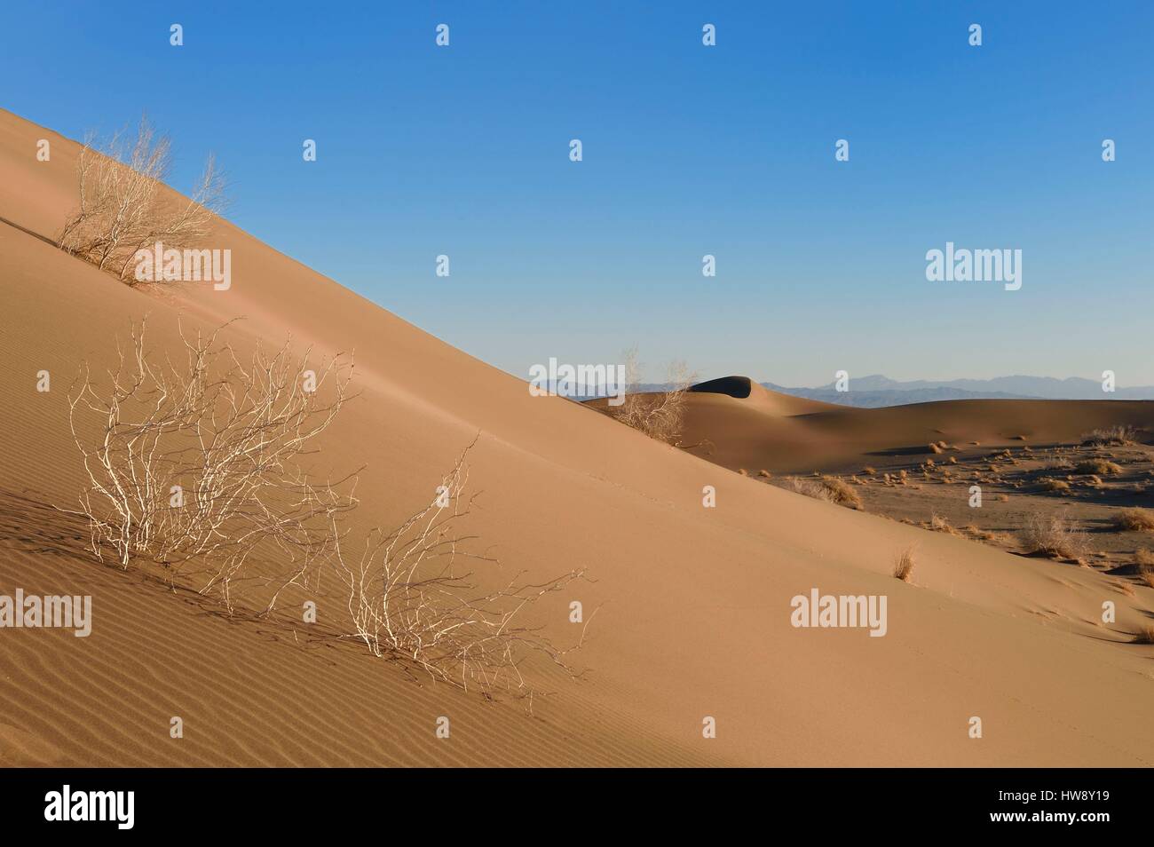 Iran, Yazd province, Dasht-e Kavir desert, Moghestan, sand dunes and ...