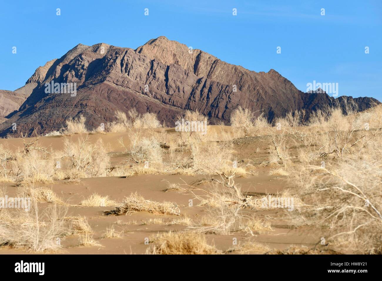 Dareh hi-res stock photography and images - Alamy