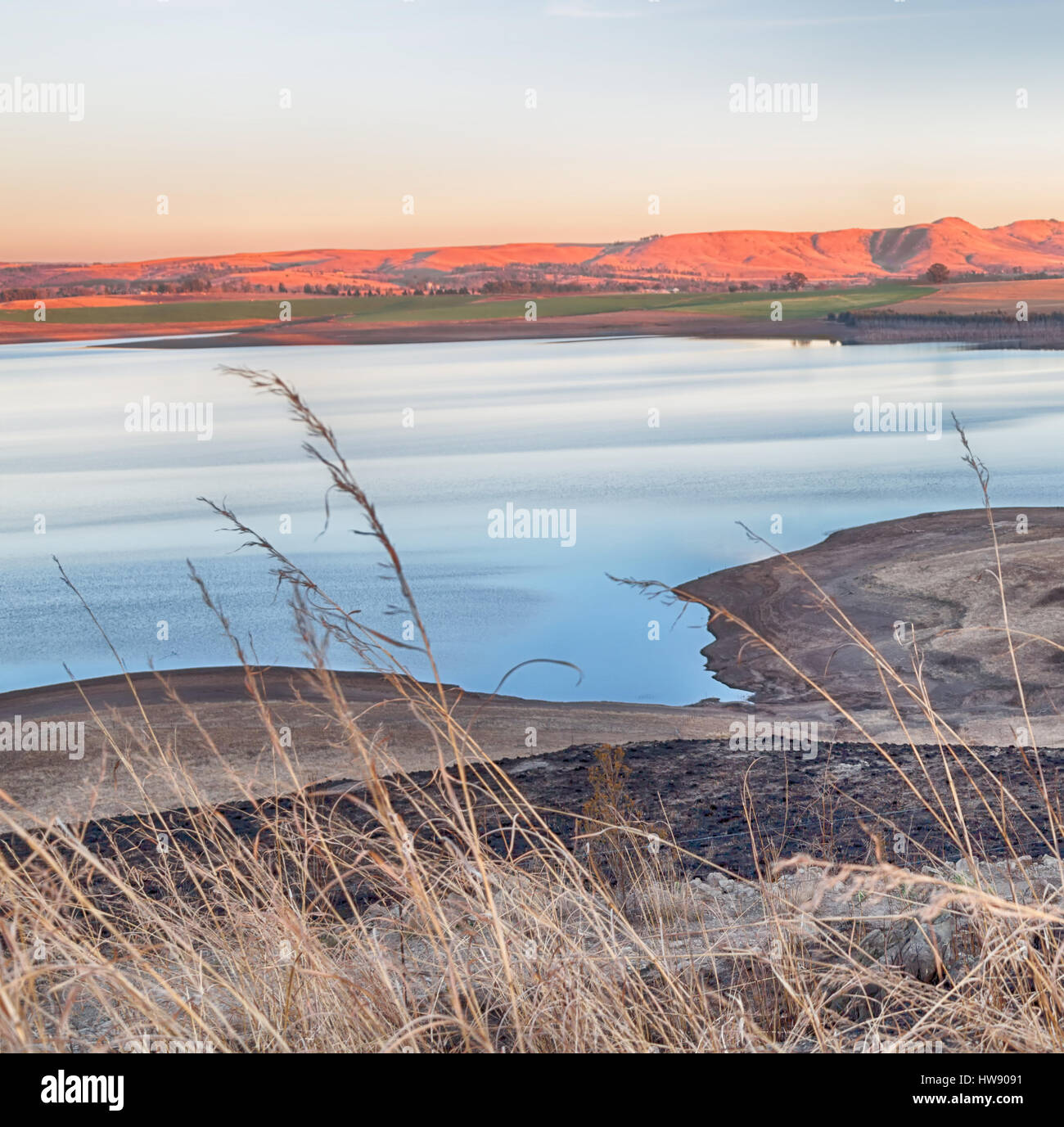 blur in south africa pond lake isimagaliso nature reserve and bush ...