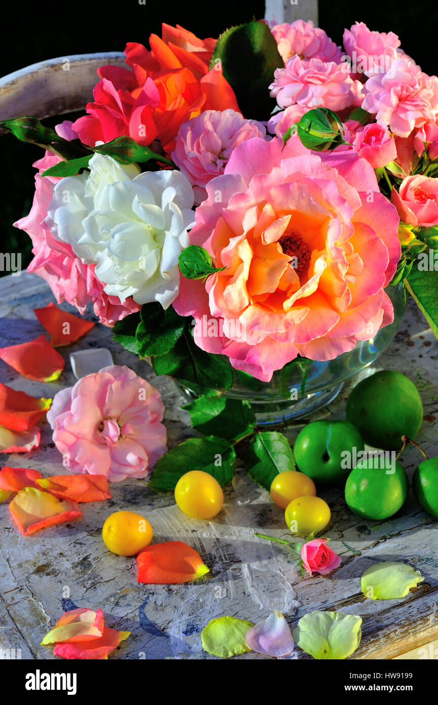 arrangement, art, coral, cranberry, fine, floral, flower, flowers ...