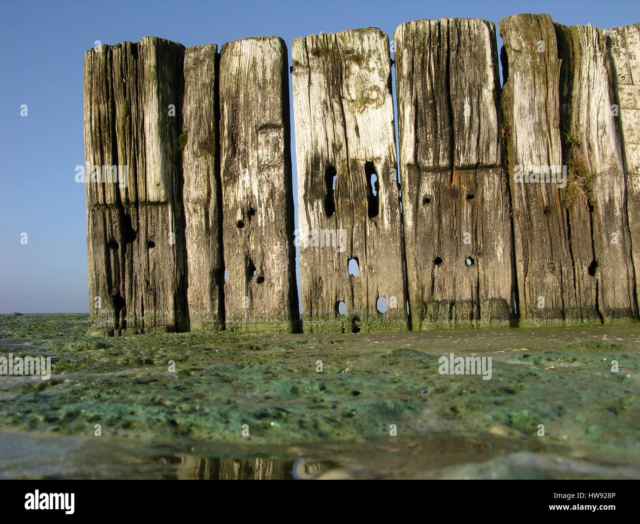 Wooden sheet piling hi-res stock photography and images - Alamy